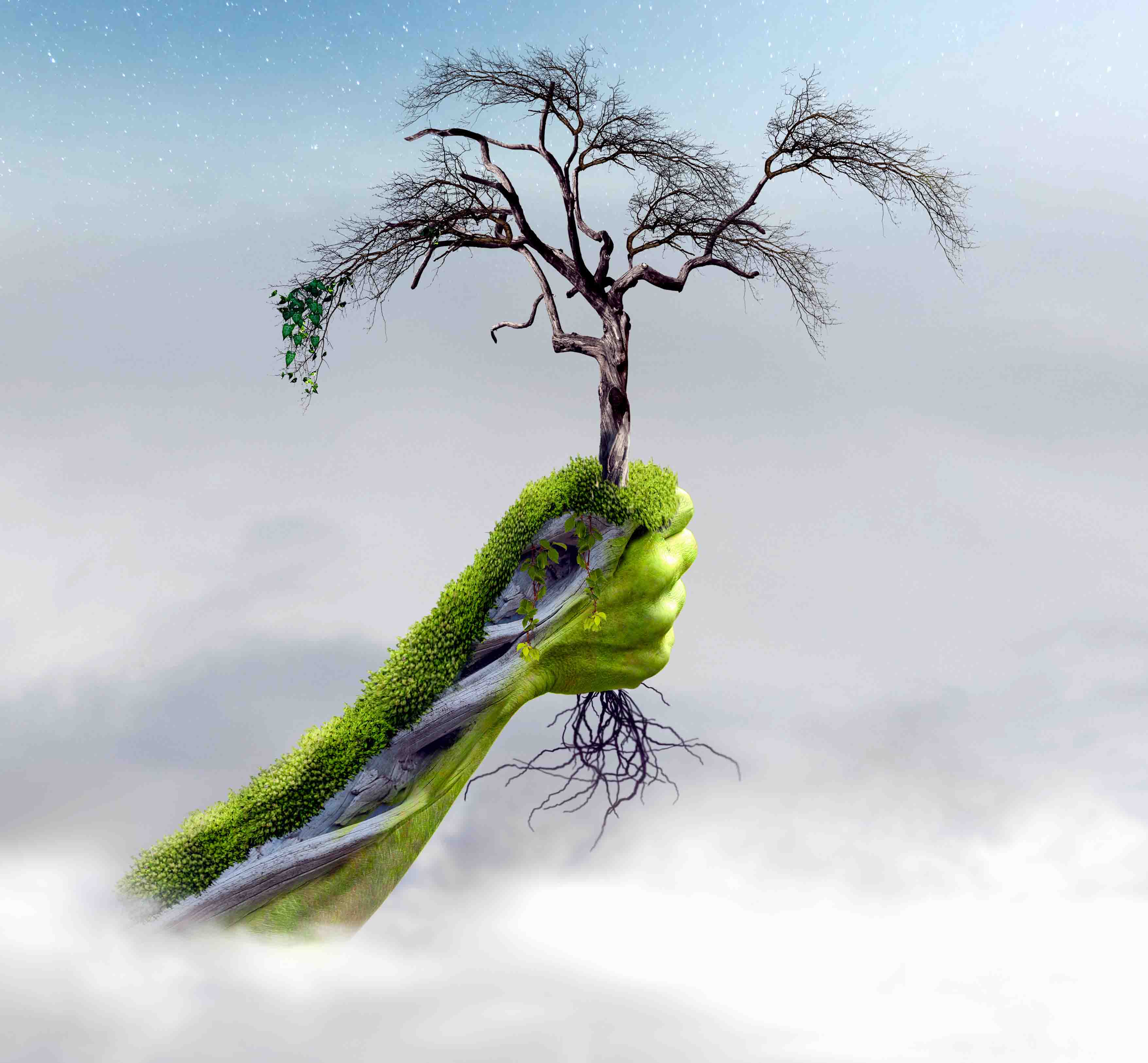 Call for Papers – Wicked Problems and Speculative Futures: Writing the ...